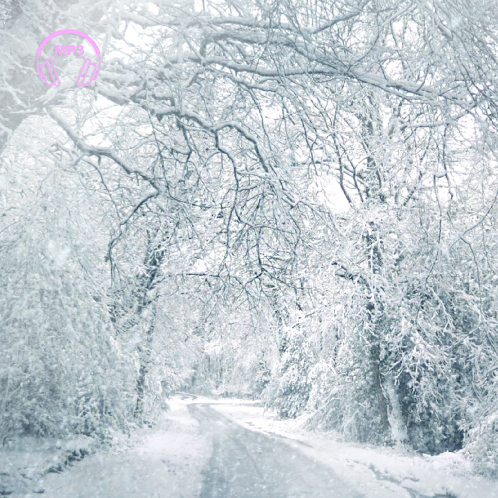 blizzard sounds outside